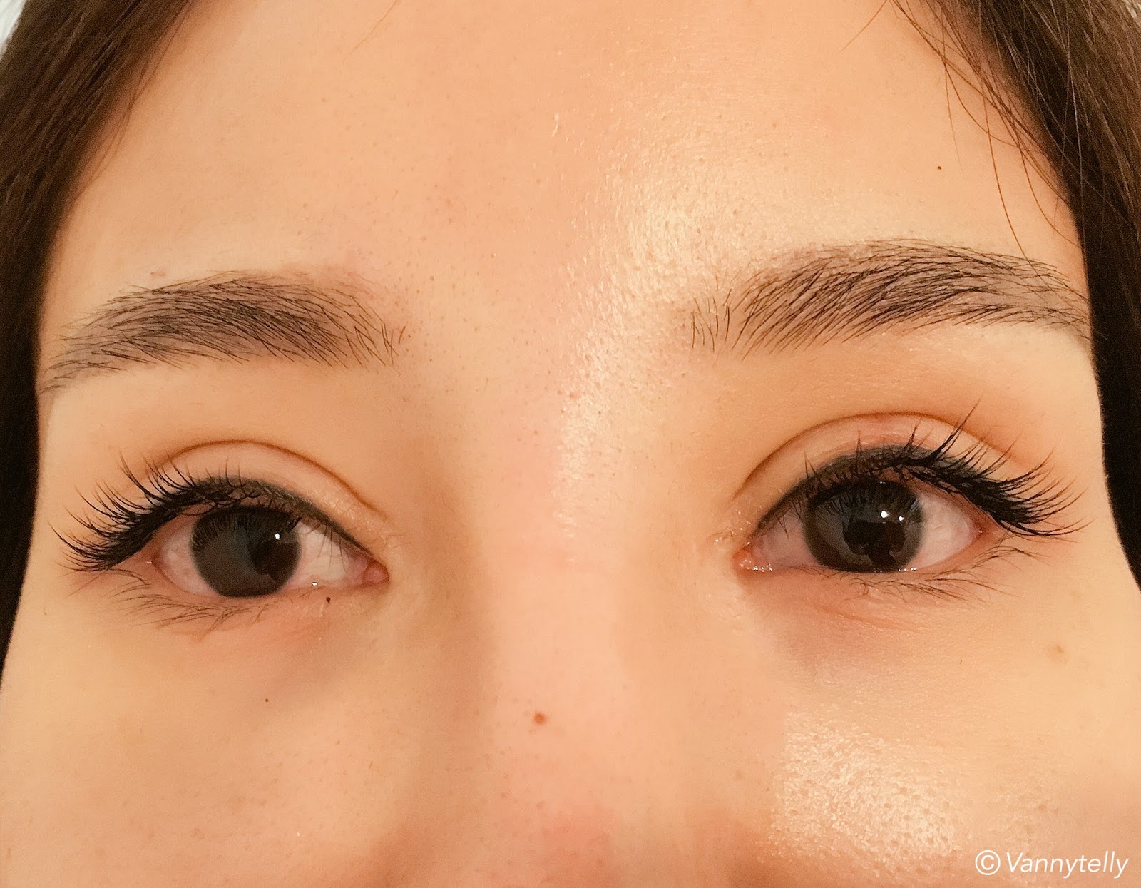 Vanny's Telling Everything.: Beauty Review_Novalash Eyelash Extensions ...