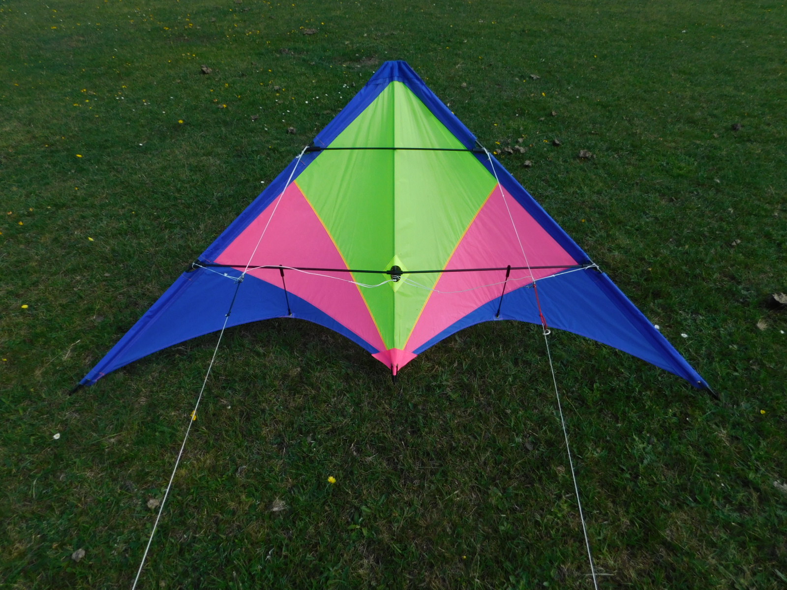 Peter Powell kites collection: Jamaica