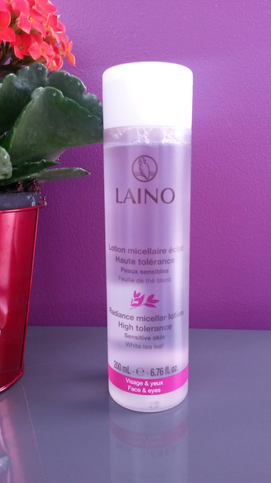 Jolie rencontre avec Laino