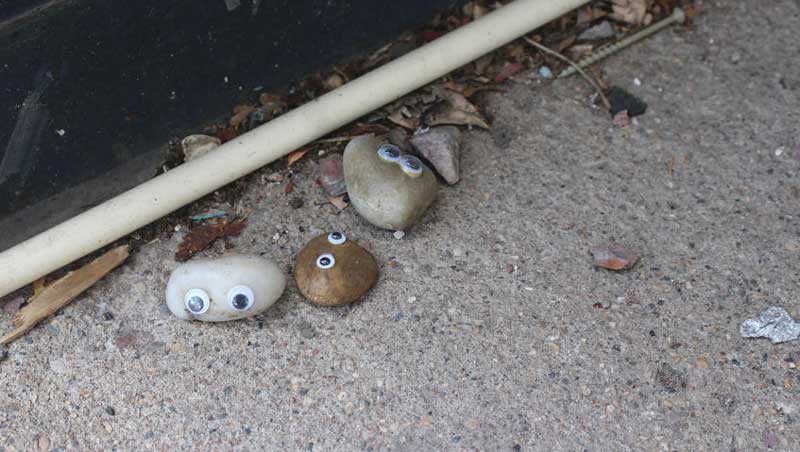 Nothing To Do With Arbroath: Residents baffled by mystery appearance of ...