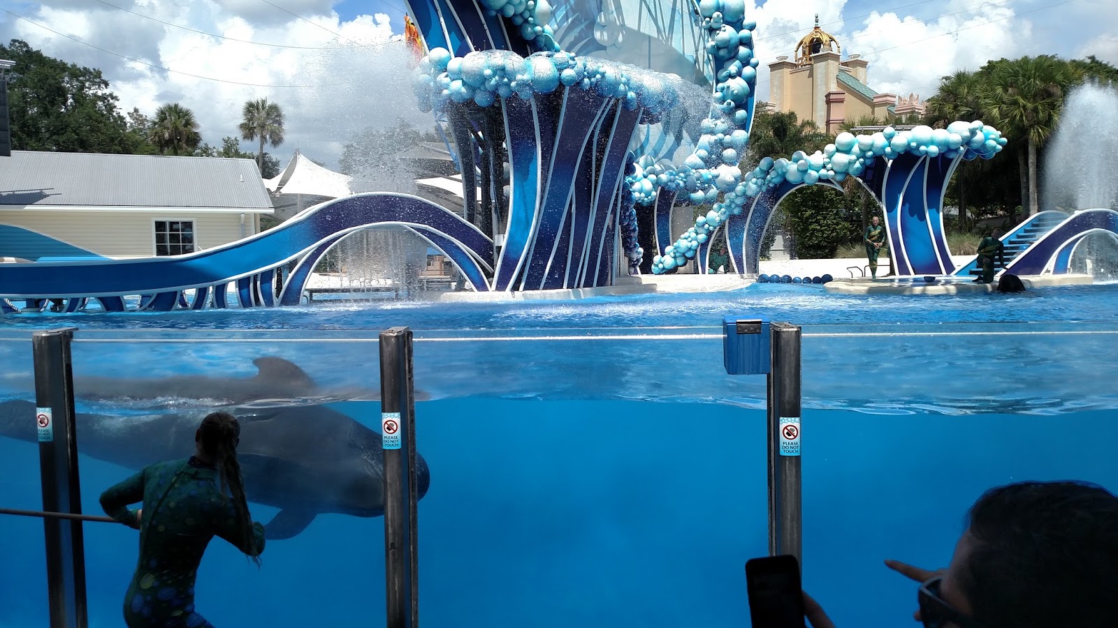 Florida: SeaWorld Orlando Blue Horizons Show ~ Well Worn Suitcase