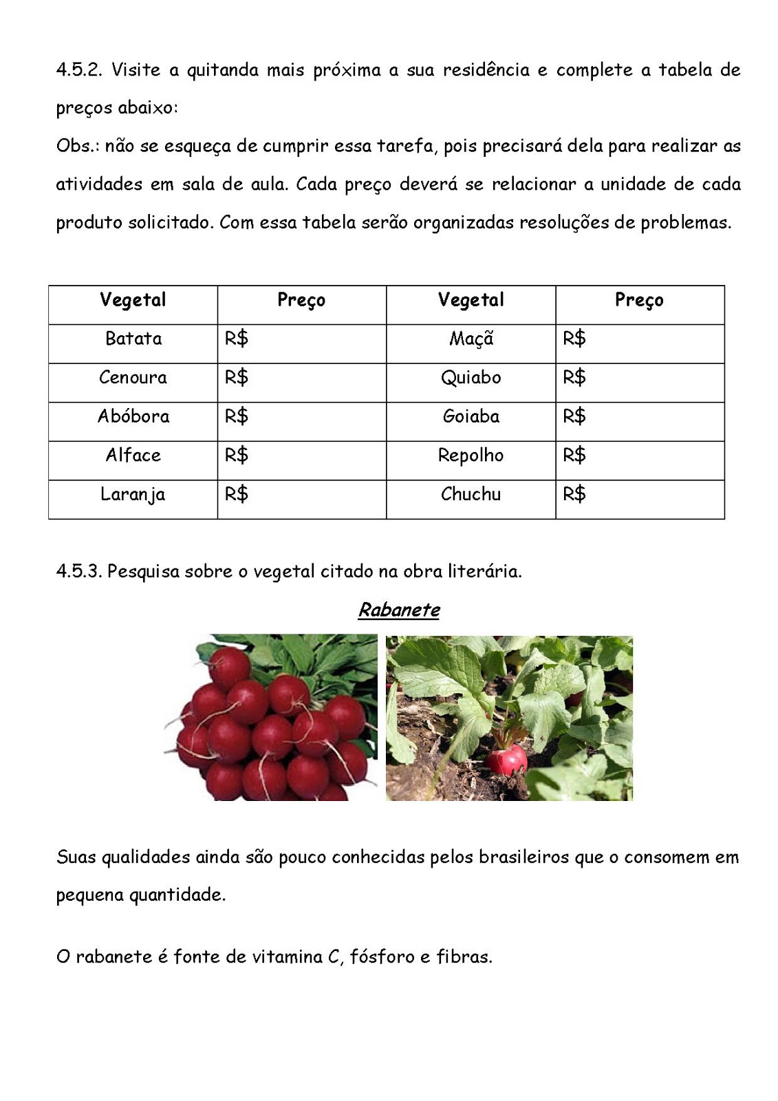 ALFABETIZAÇÃO CEFAPRO - PONTES E LACERDA/MT : História - O Grande Rabanete