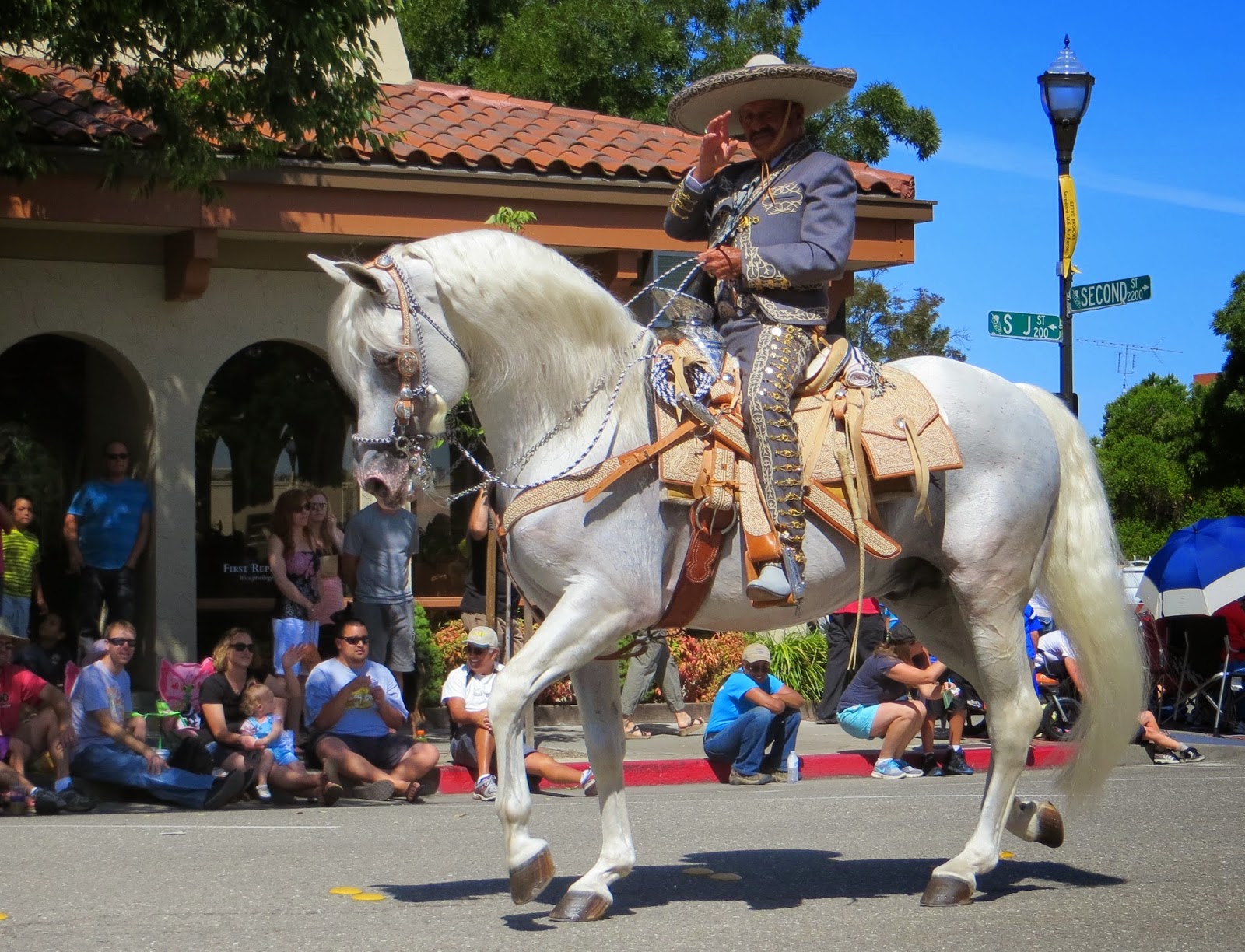 An English country girl in California: From bucking broncos to sweet ...