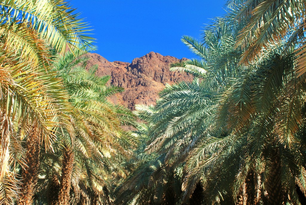 Best Islamic Holy Wallpapers: April 2011