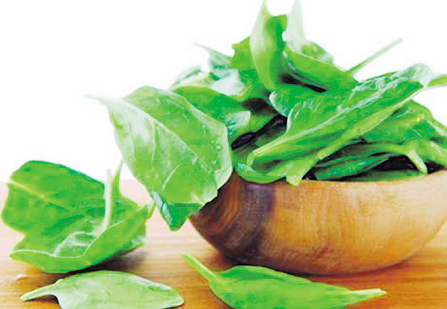 Menjana Arah Tuju Sendiri: Tanam Bayam