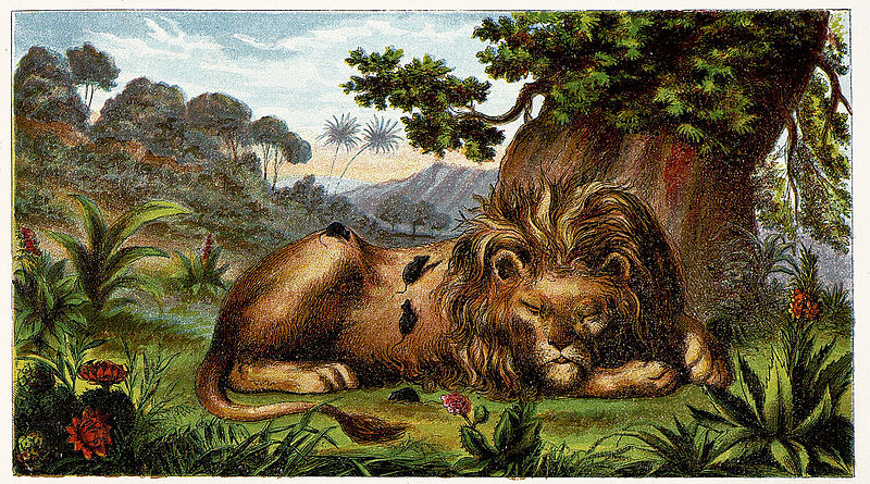 Helping Children GROW: The Lion and the Mouse