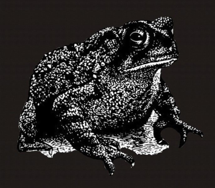 La Verdad detrás del Cd Fuerza Natural de Gustavo Cerati -Septima Parte-