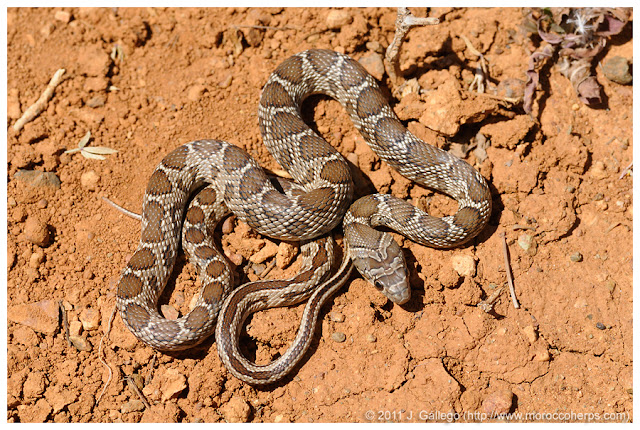 macroinstantes: 2011