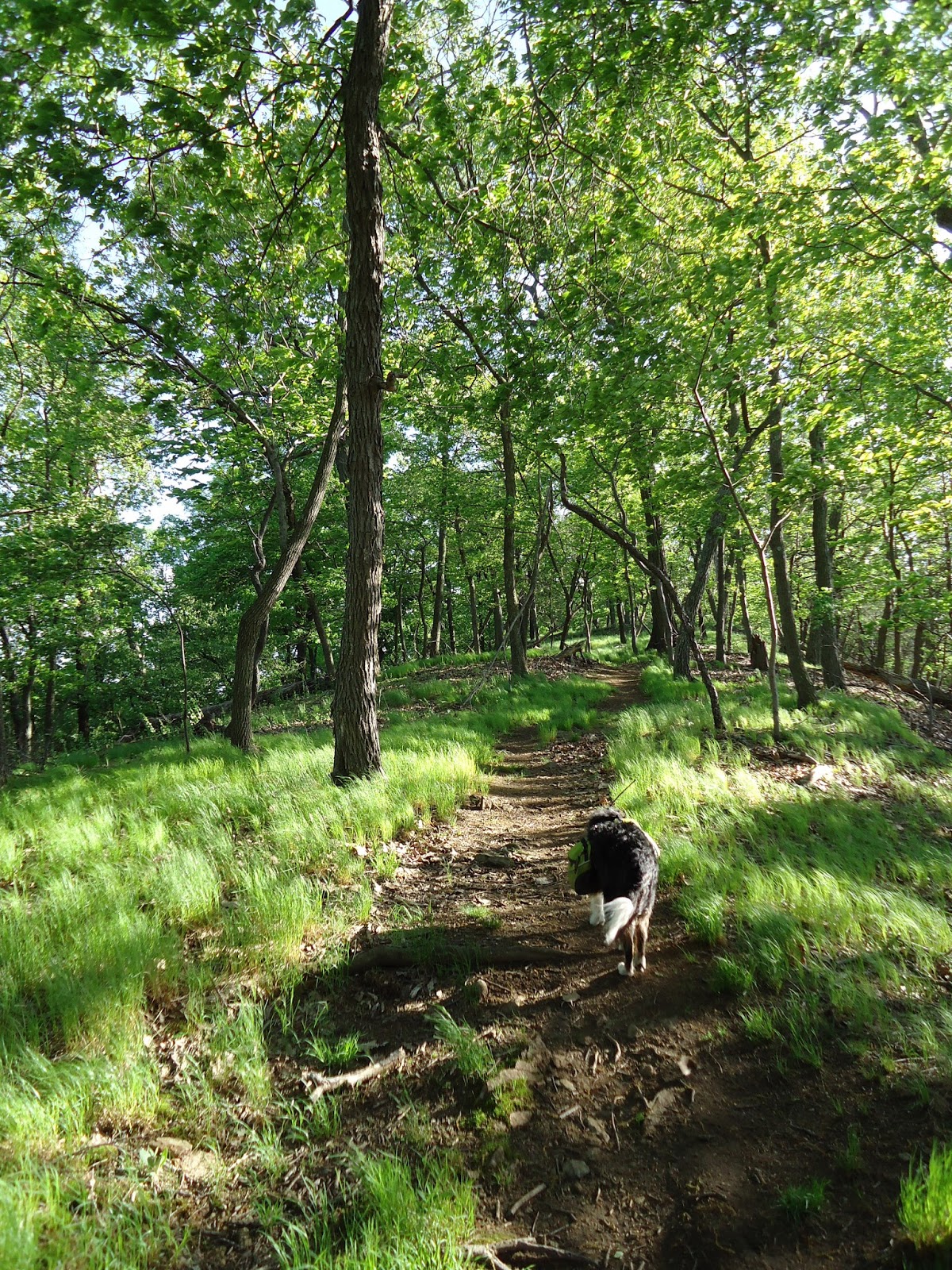 Agile Trekker: Castle Rock Unique Area, Garrison, NY