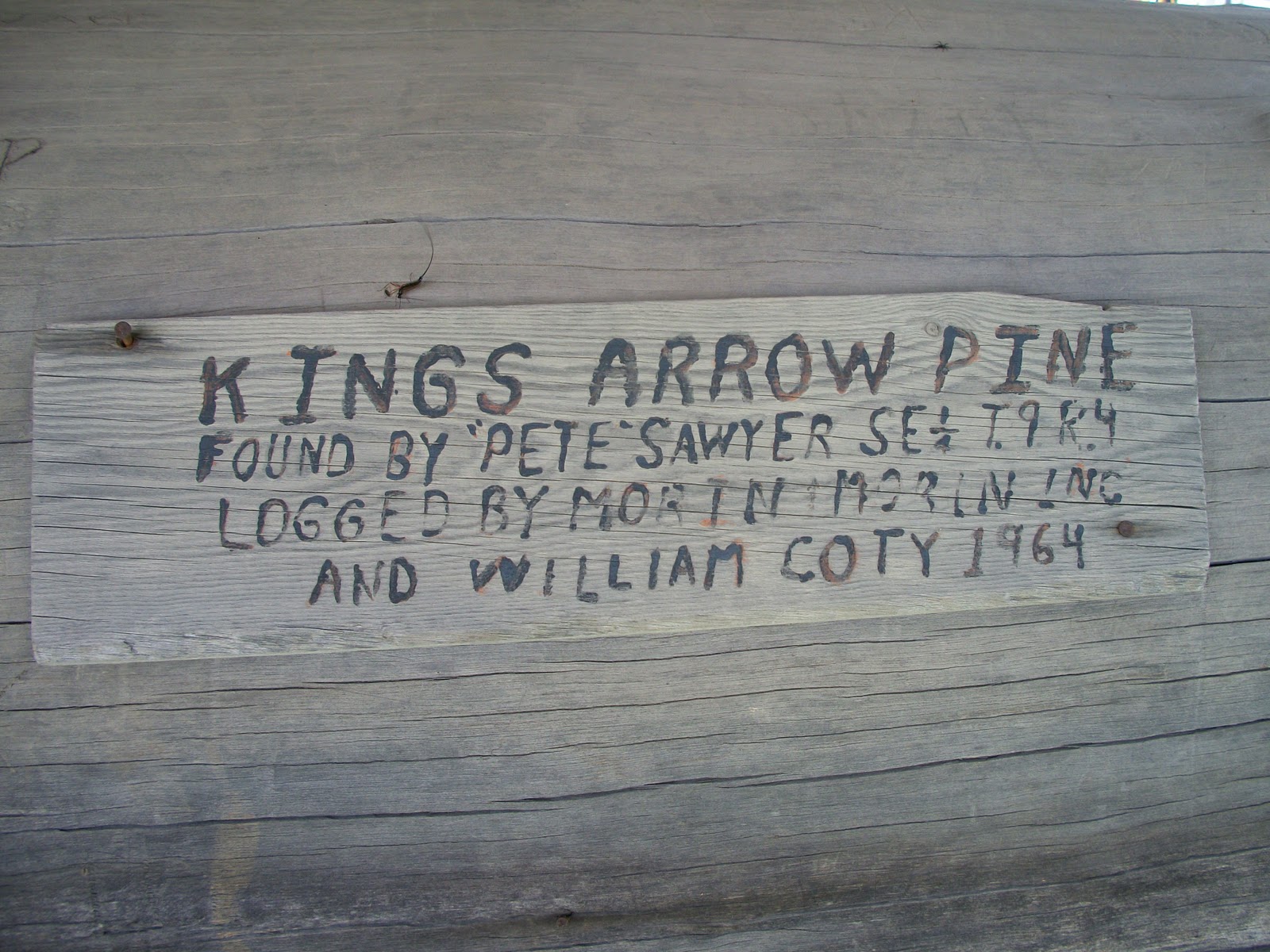 The Sharpened Axe: The Most Ignored Tree In America