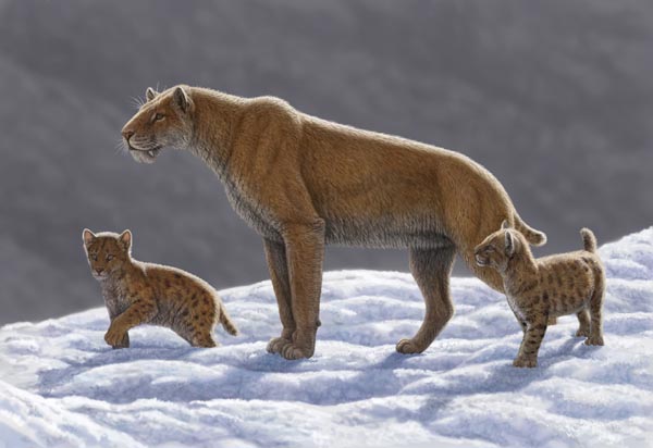 Documentalium: Felinos prehistóricos