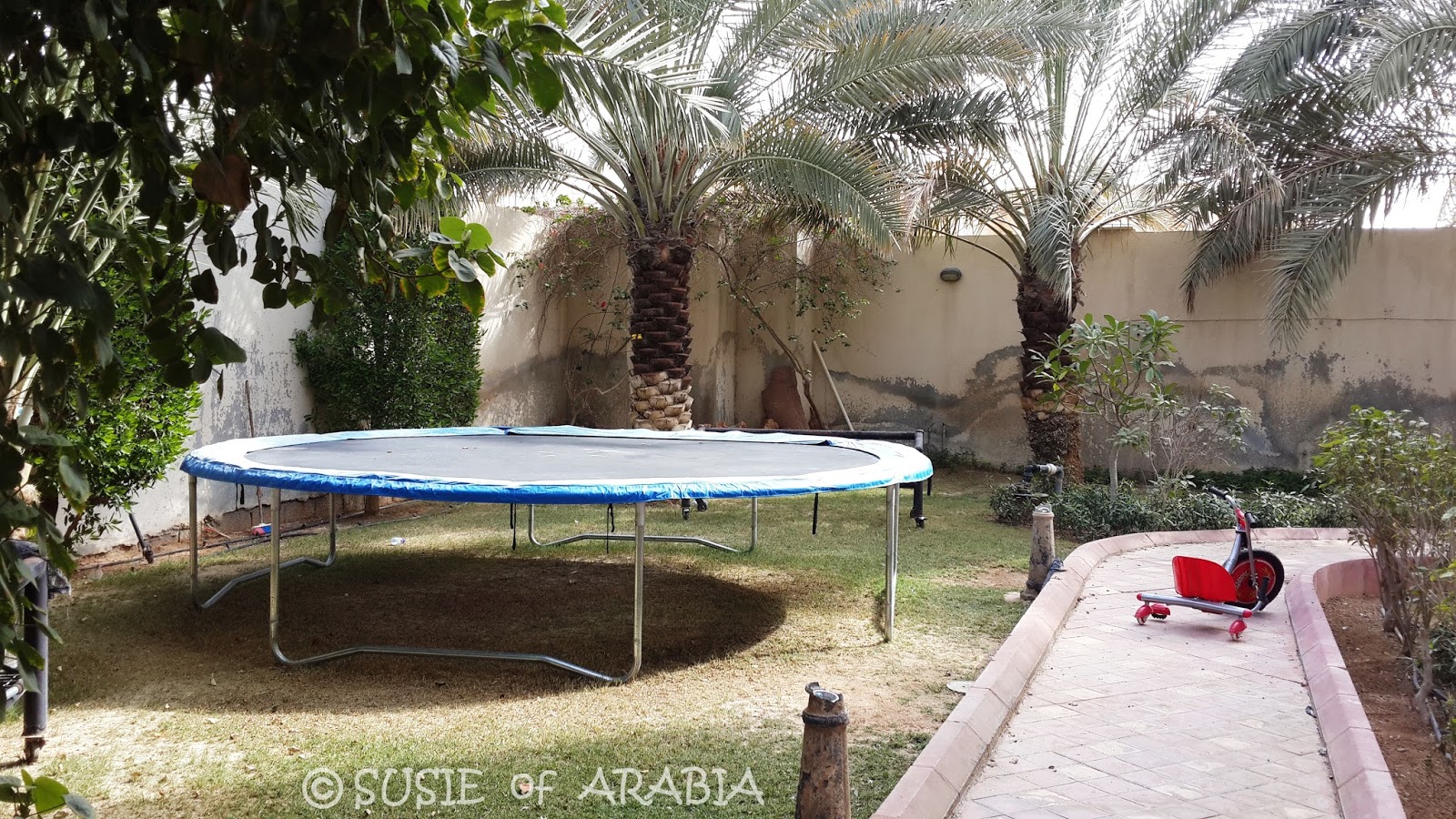 Jeddah Daily Photo: Our World: Saudi Home Outside Yard