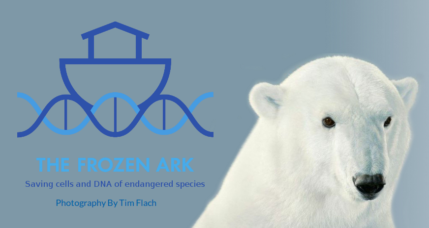 (Loja de) História Natural: We need a network of genetic arks to help ...