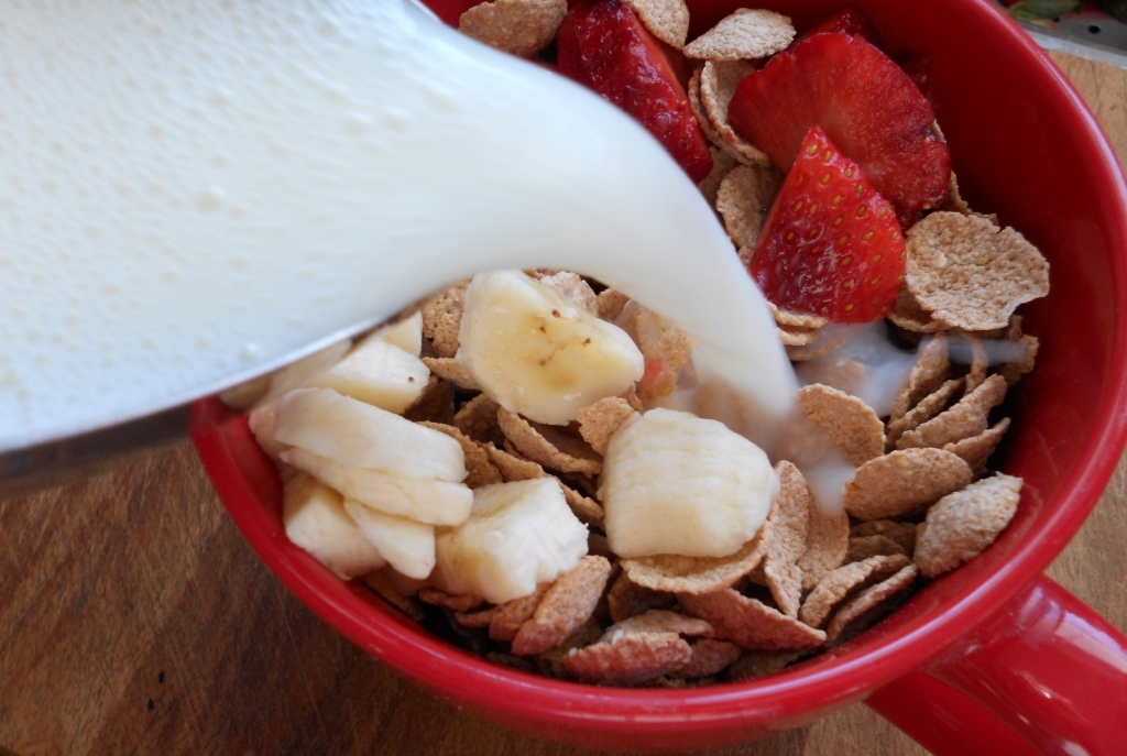 Snacking Squirrel: Cereal of Champions and Taco Salads