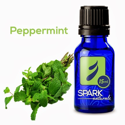 Curly Loves Essential Oils: Dog Tummy Troubles: Peppermint Essential ...