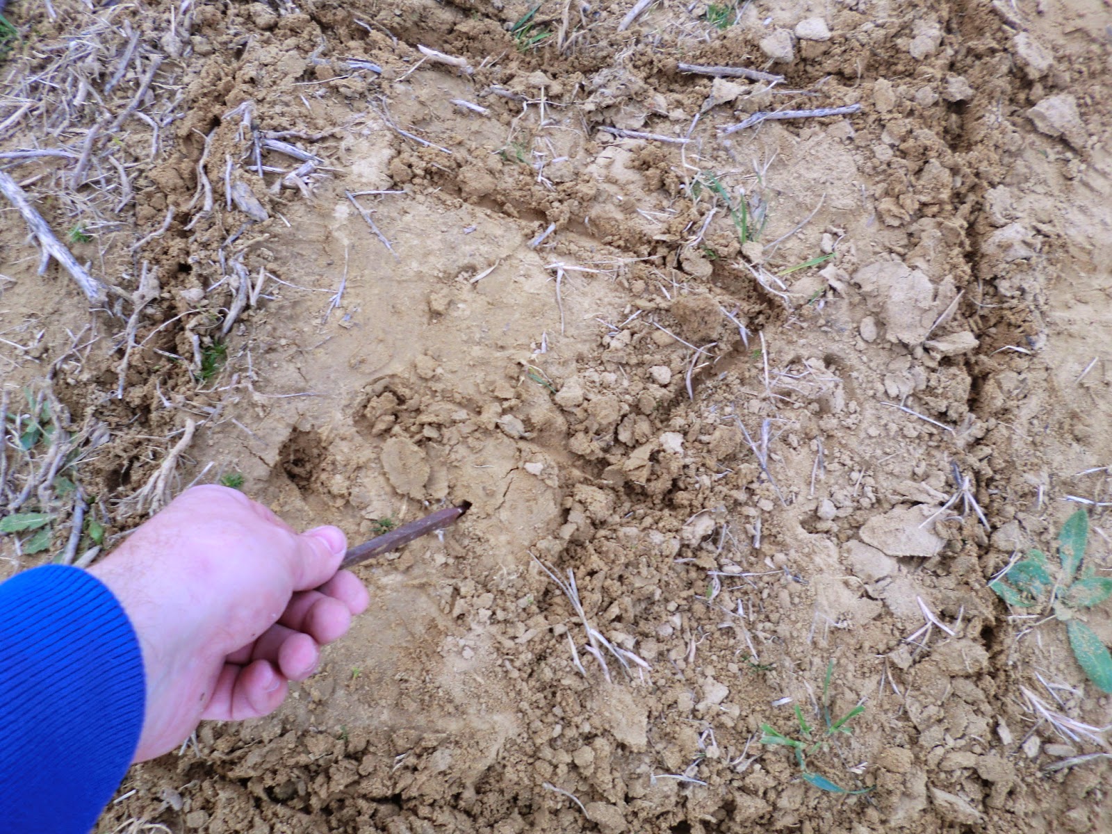 JUGANDO A LA LIMA, UN REDUCTO DEL PASADO