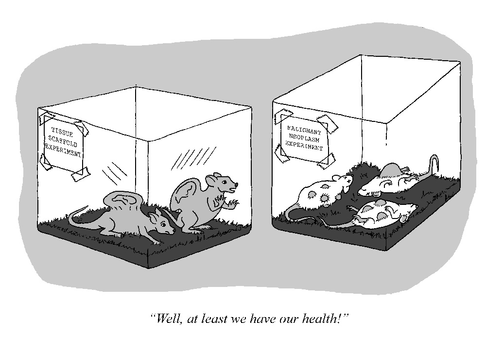 KriotaWelt: PATHOLOGY LAFFS - TUMOR HUMOR!