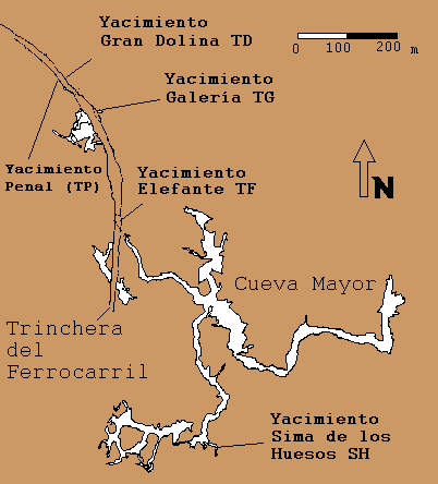 Opinión y Cultura: Afinan la datación del yacimiento de Atapuerca donde ...