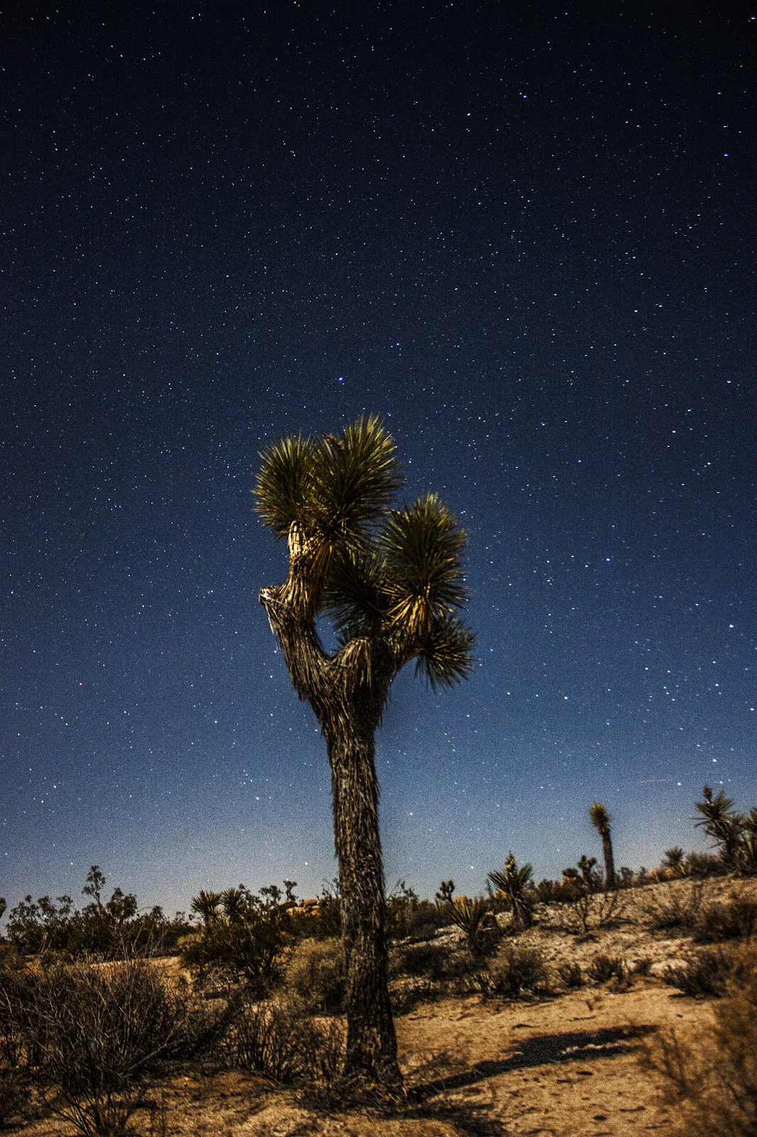 Coachella Valley Astronomy and Astrophotography: Astrophotography at ...