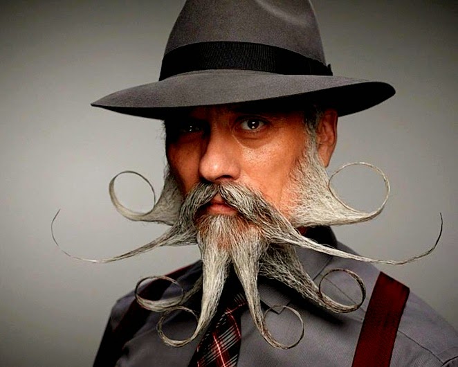 The Flying Tortoise: The Best Of The World's Beard And Moustache Art ...