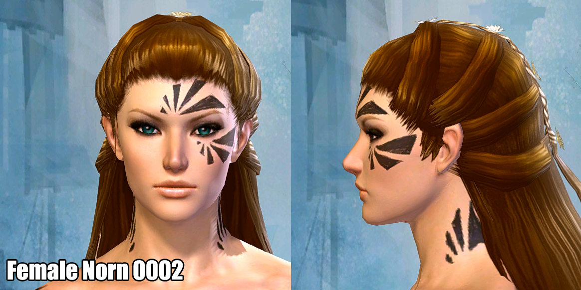 Guild Wars 2 Fan Site: Free Female Norn Settings 0002