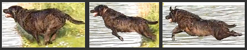 The Wolves Within: December 2011