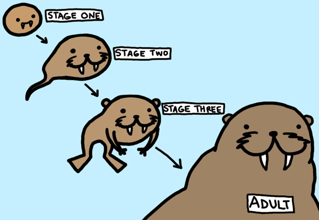 All of the Animals: A gloomy but cheerful day