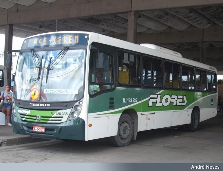 Bus Elite | Aqui o ônibus é destaque: Flores