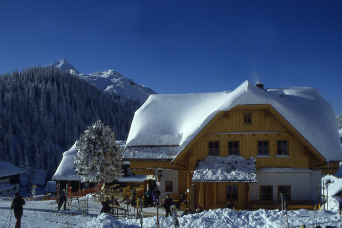 auf der planneralm....