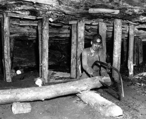 Delmar Historical And Art Society: Mine Props