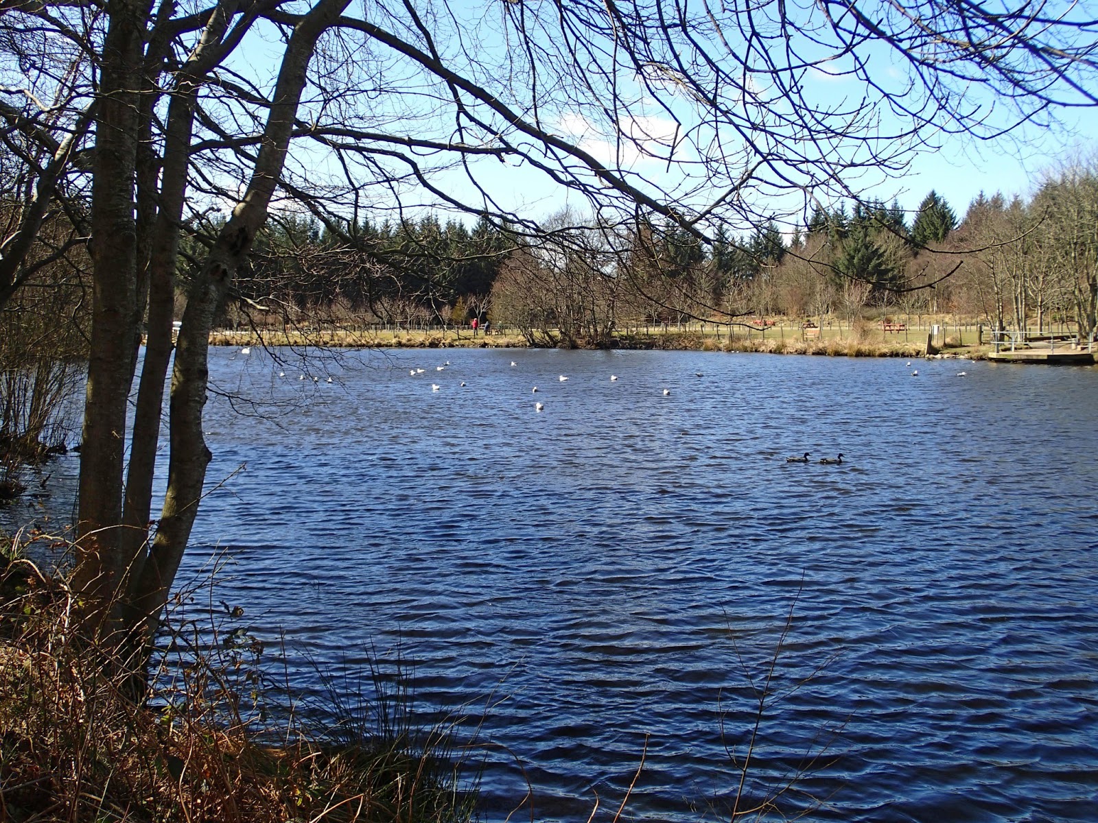 Walking The Line: Strichen Viaduct and Community Park