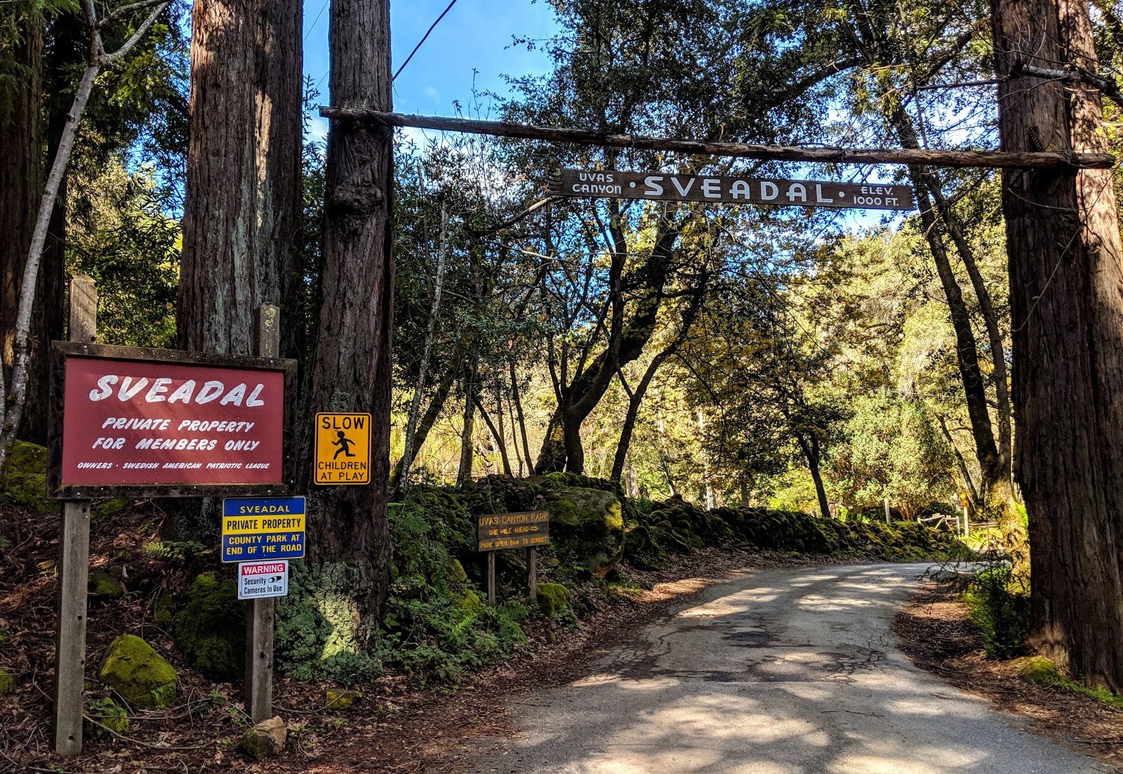 Ribs & Coke - Ripsiä ja kollaa: Sveadal, kummallinen ruotsalaisyhteisö ...
