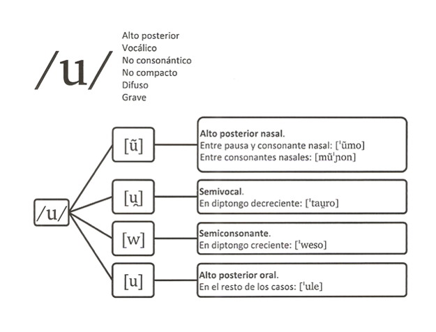 APRENDE ESPAÑOL FÁCIL: FONÉTICA/CRITERIOS PARA LA DELIMITACIÓN DE LOS ...