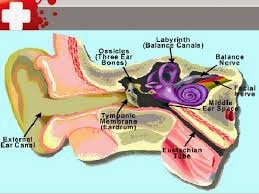 Penyakit labyrinthitis