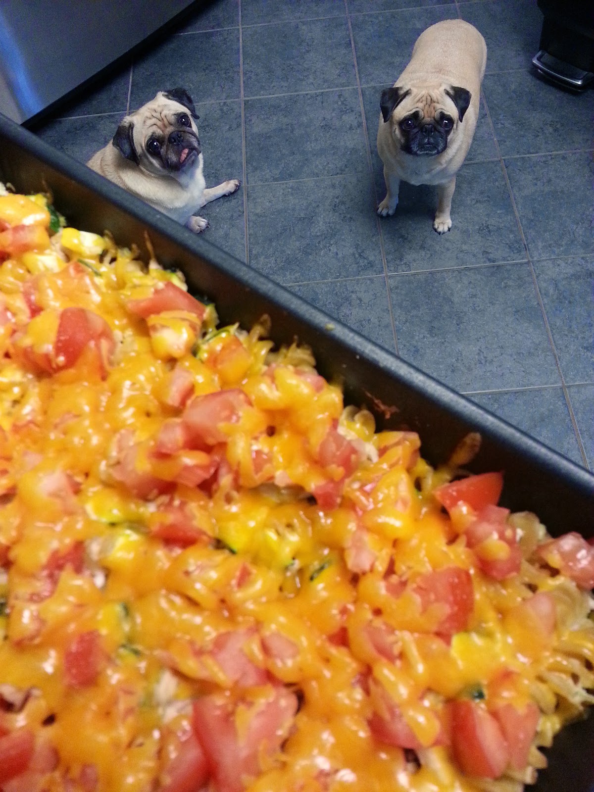 Grubbin' Pugs