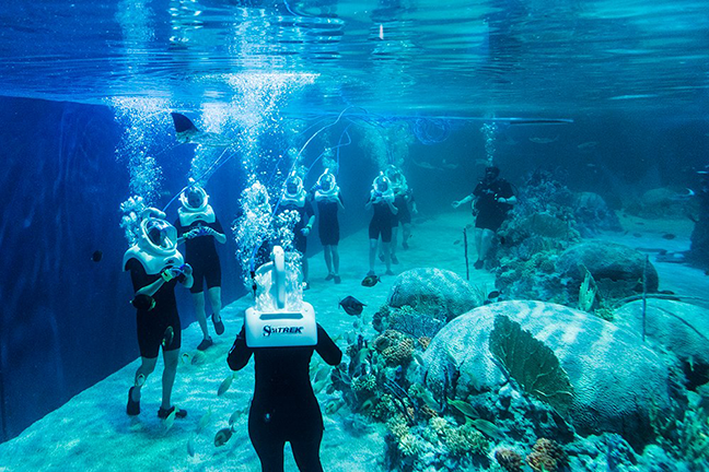 Sub Sea Systems - Our World: Why Sea TREK? Q and A with Carl Hanson