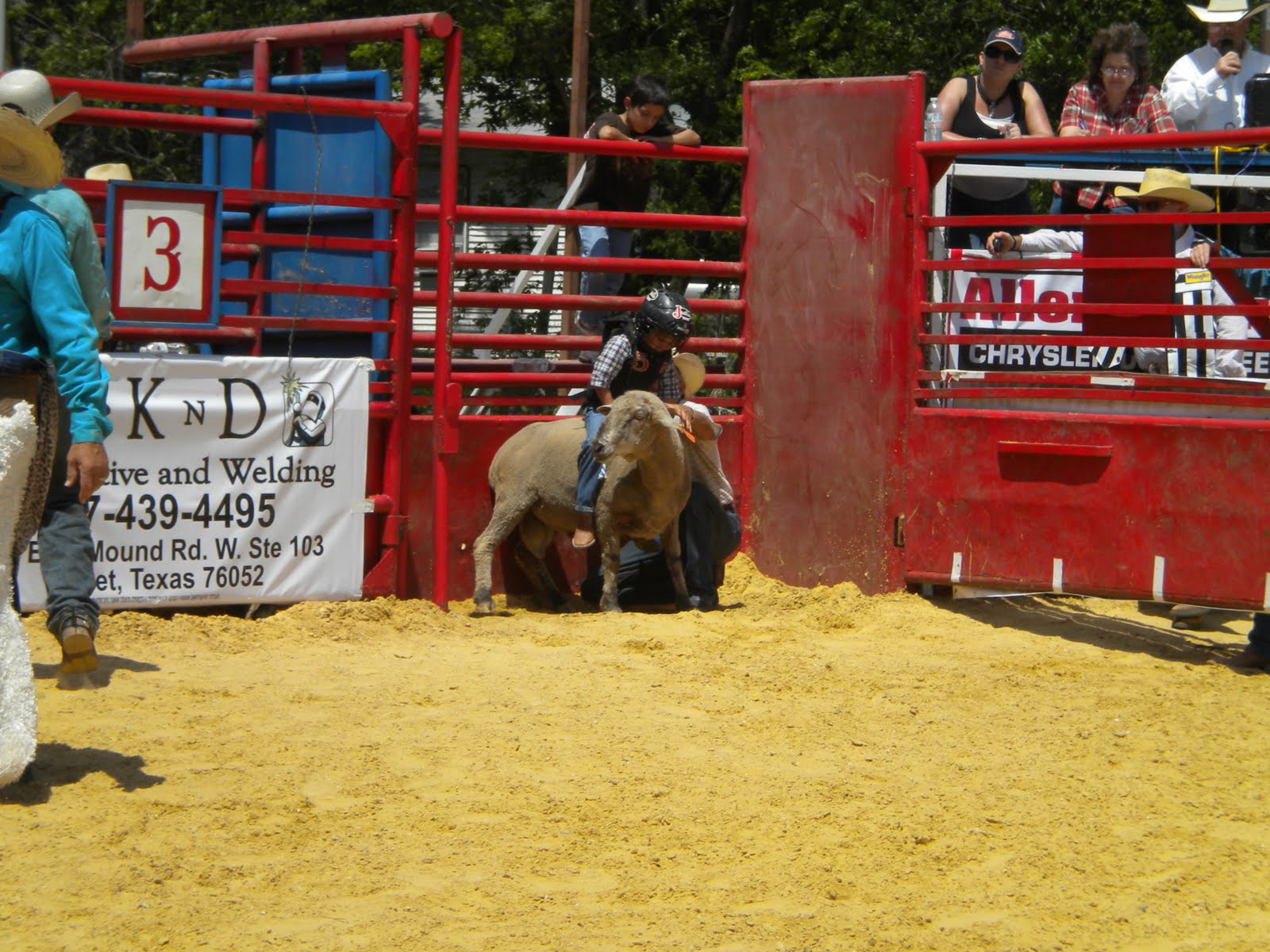Thoughts from Meme's Corner: Mutton Busting Blue Monday
