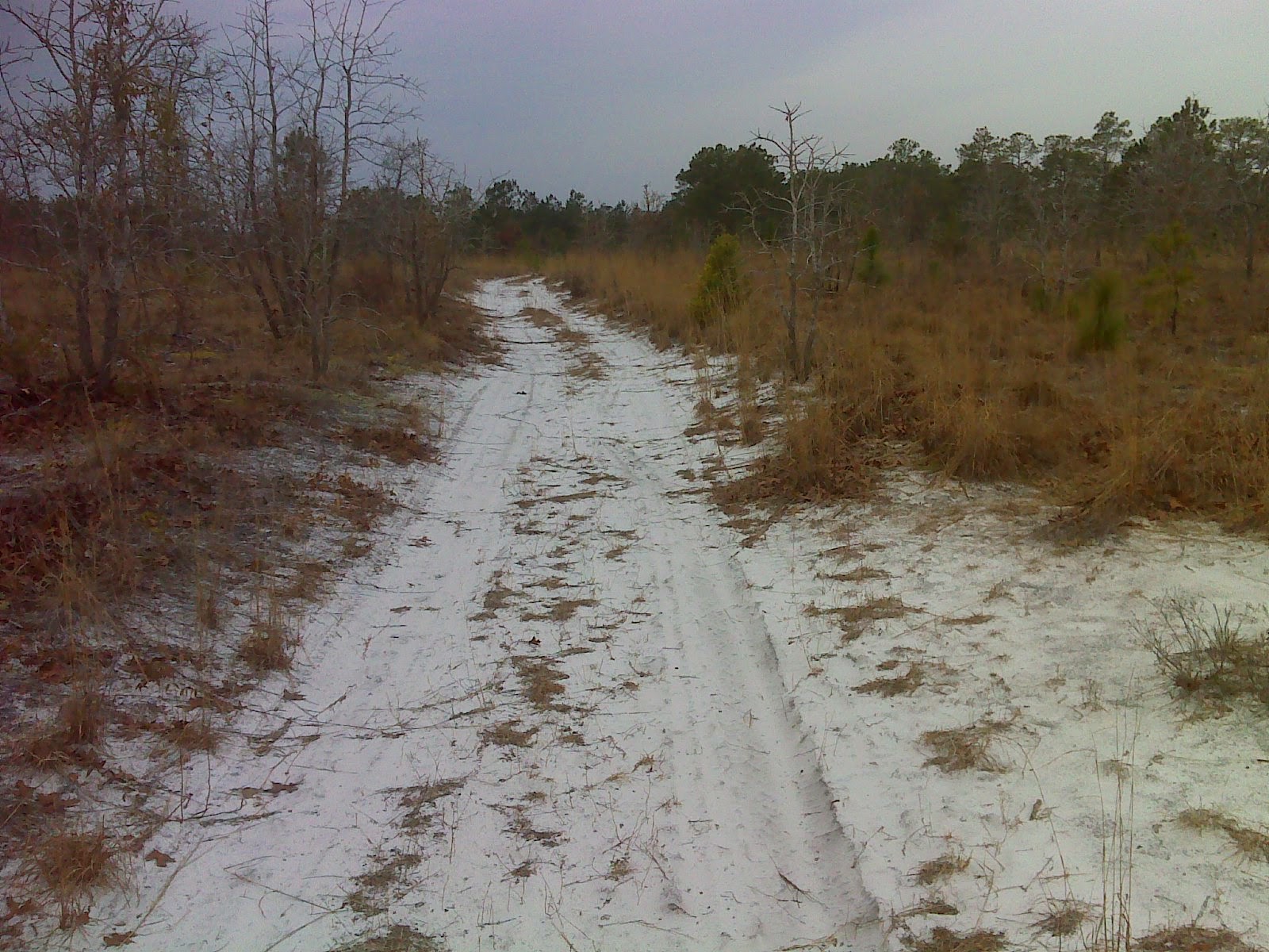 Heart and Sole: The hike to and through Stones Creek Game Land