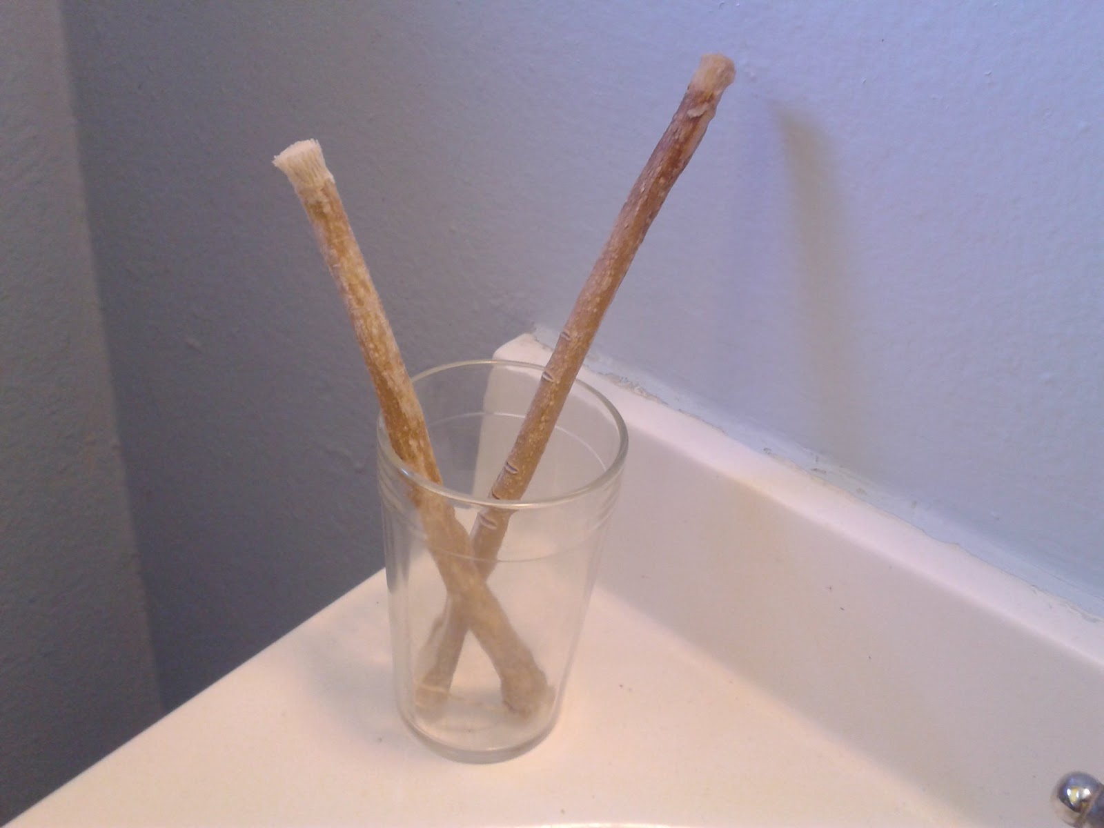 The HoarderRehab Blog: The Destiny of Things: Miswak Twig Toothbrush ...