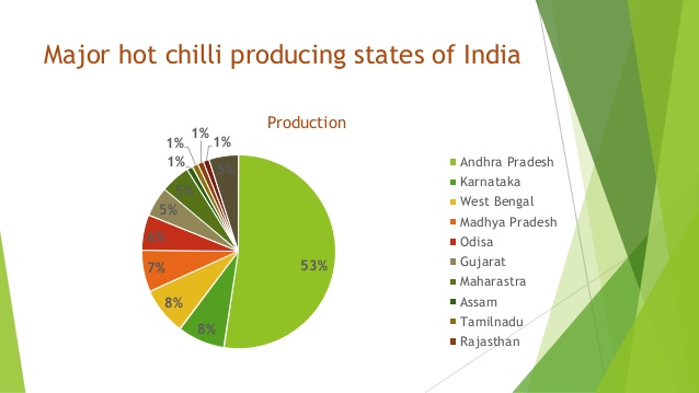 Red Chilli - Really it's hot... - Swarnatheghi