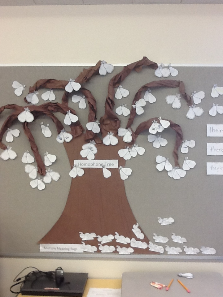 A Passion to Teach: Homophones and Multiple Meaning Words