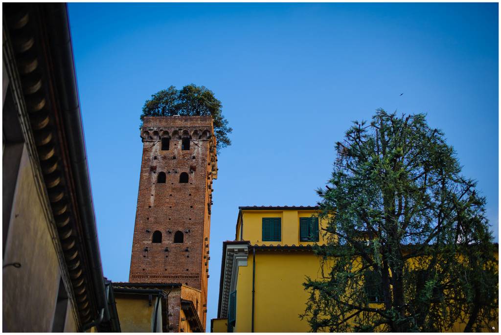 Torre Guinigi: The Tower with Oak Trees on the Top ~ Kuriositas