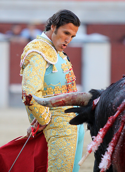 Toro, Torero y Afición: Sobre David Mora