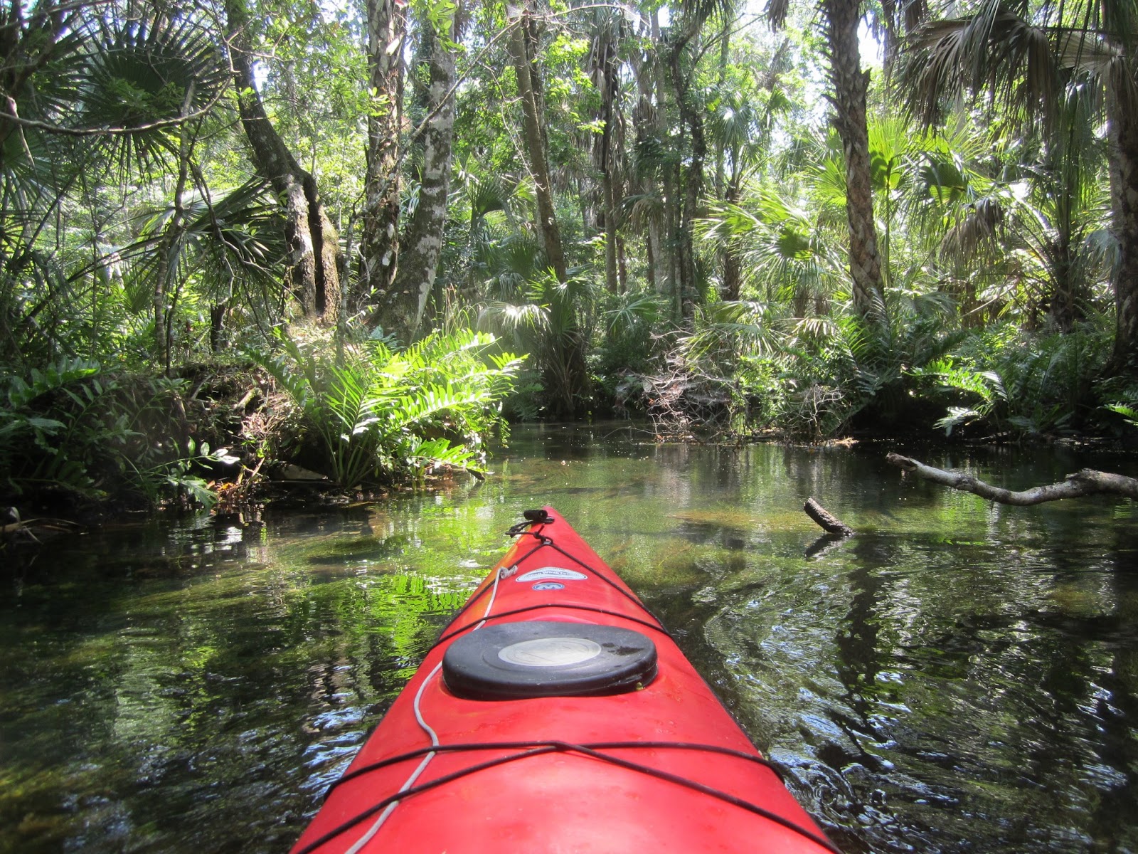 Dave's Yak Tales: Chassahowitzka