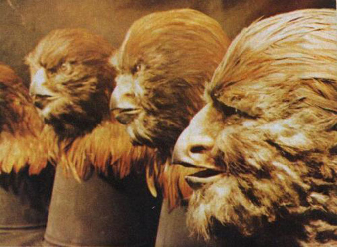 The Grim Gallery: Exhibit 384