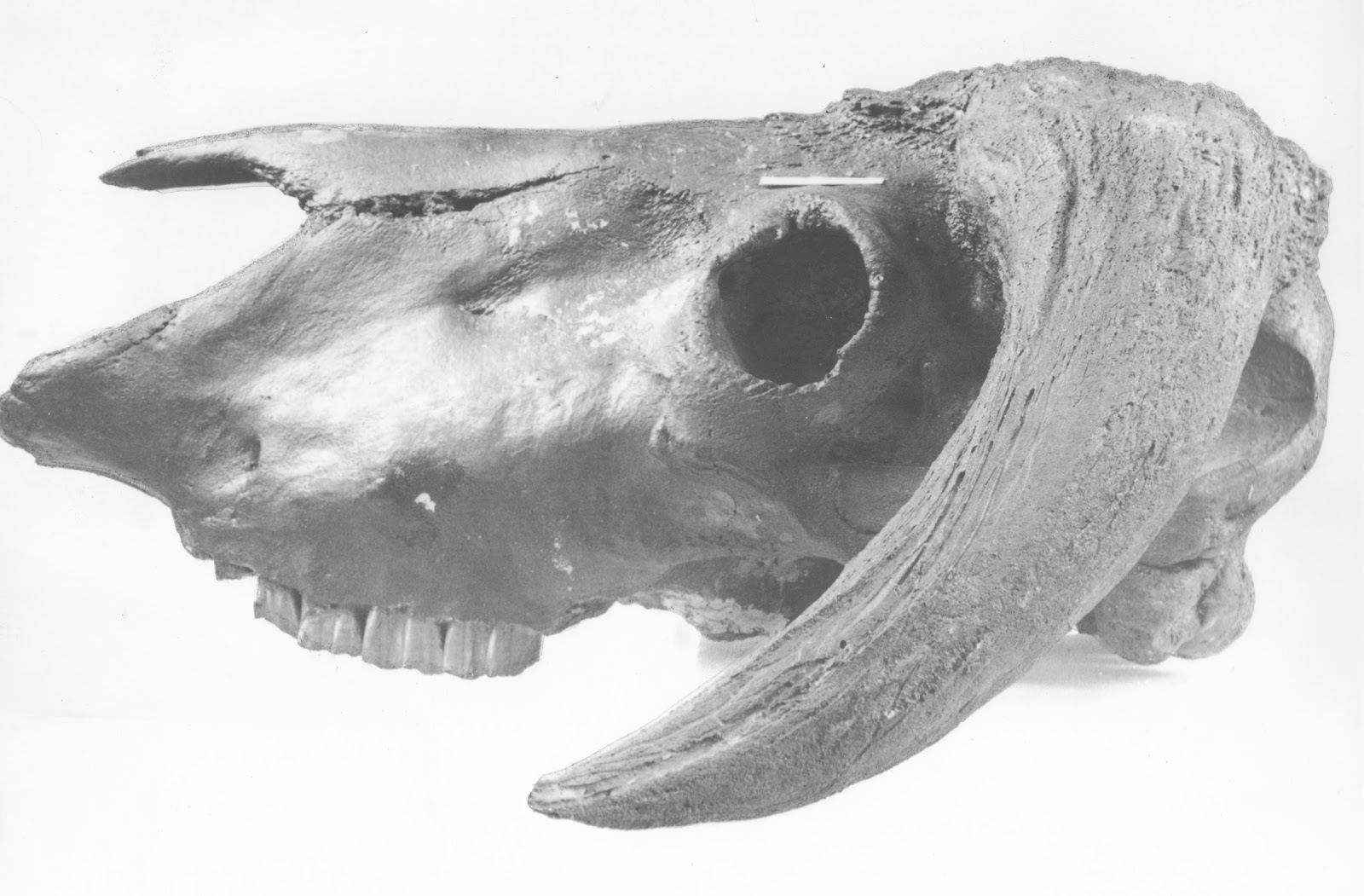 CSMS GEOLOGY POST: 12/22/15