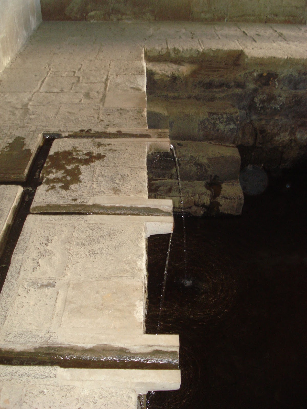 Gone fishing: The fall of the Inca empire