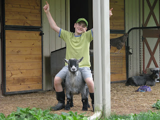 Blackberry Forest Farm: Goat Riding