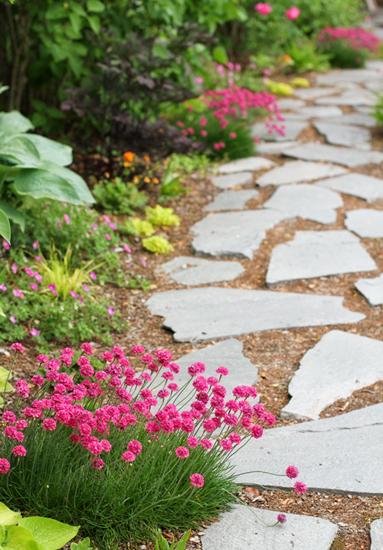 VW Garden: Adding Chartreuse to the Garden
