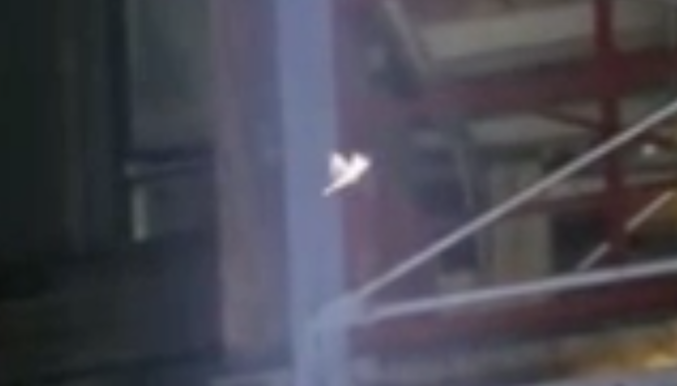 UFO SIGHTINGS DAILY: Alien Fairy Caught Fluttering Near 9/11 Tribute ...